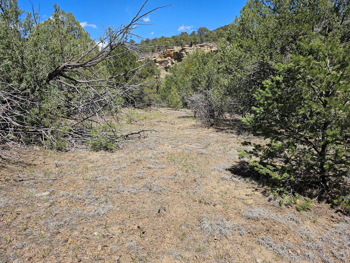 Fisher Peak Ranch 39 Acres | Spanish Peaks Land Company