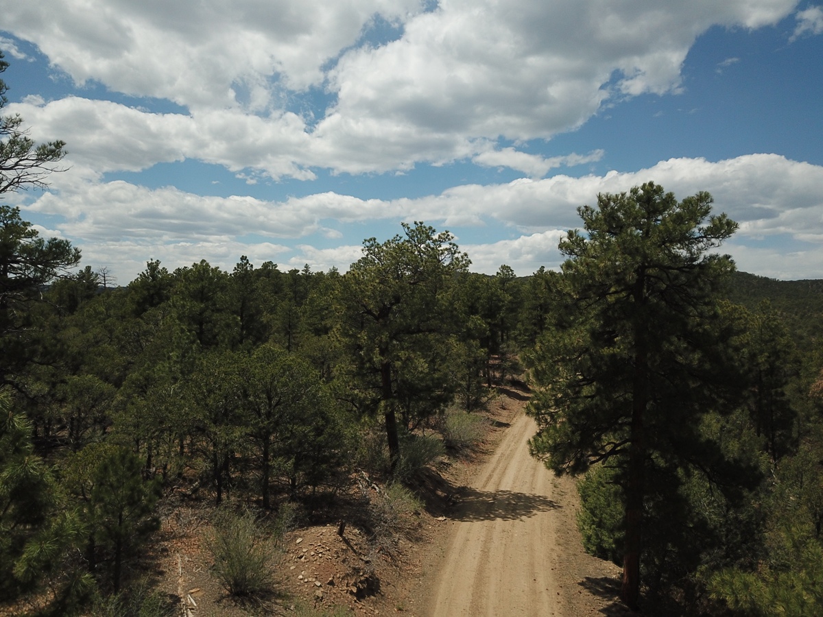 Timber Canyon 40 Acres | Spanish Peaks Land Company