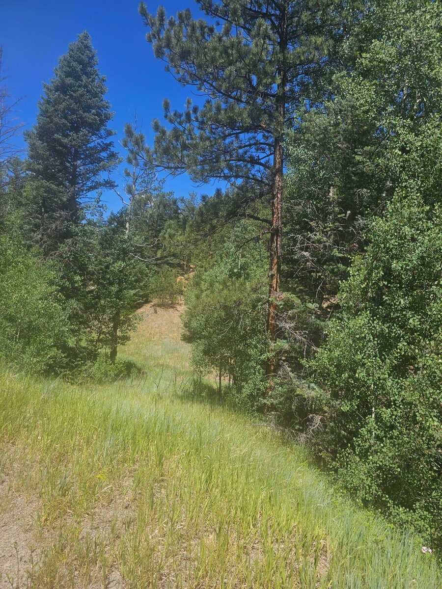 Cimarron Ranch 40 Acres of Wilderness | Spanish Peaks Land Company