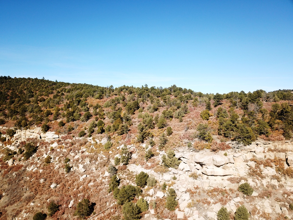 Timber Canyon 39 Acres | Spanish Peaks Land Company
